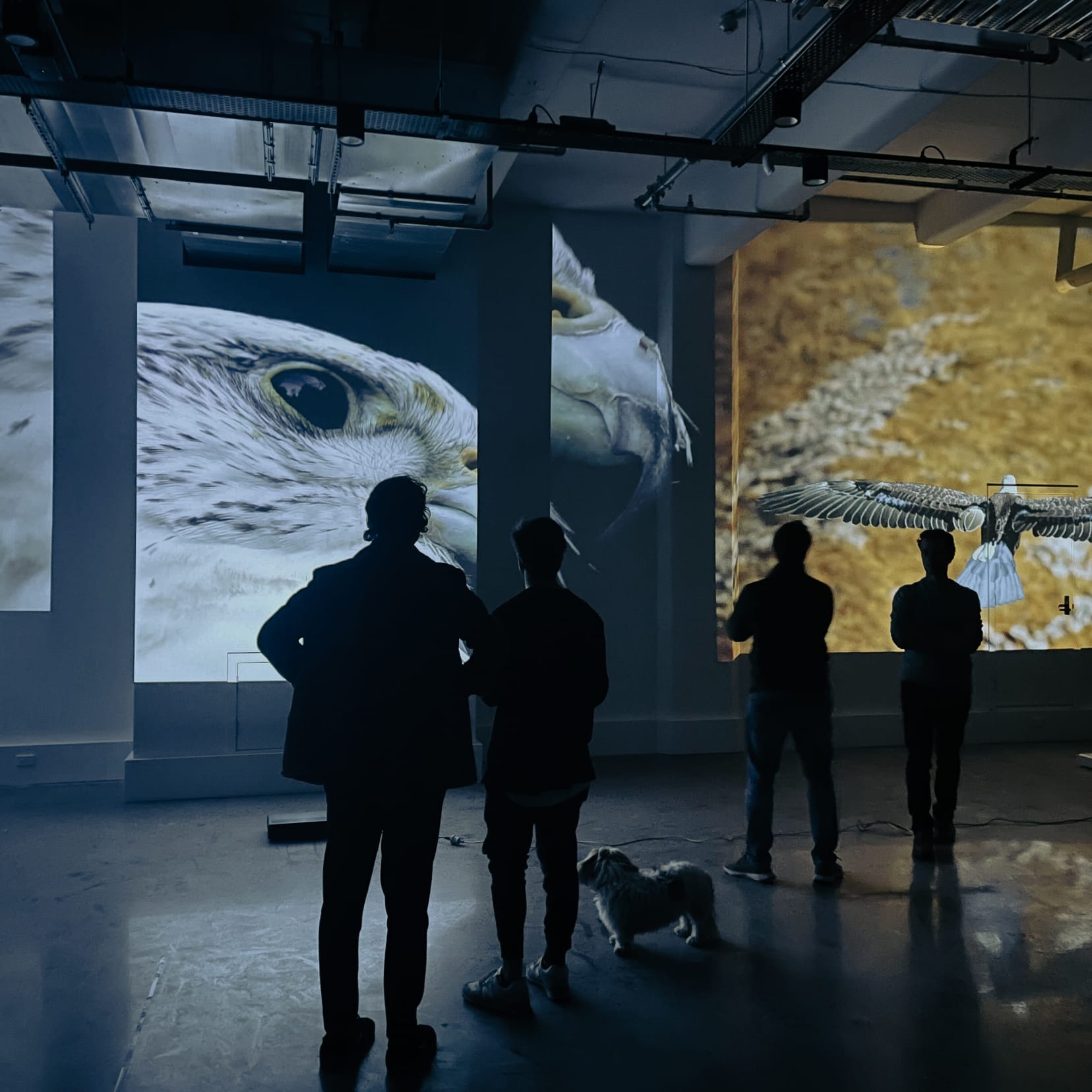 HyperCinema - Gladeye